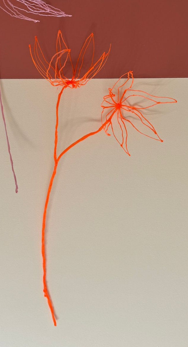 Iris Lucia design | A FUTURISTIC CRAFT WHERE EACH PIECE IS UNIQUE ...