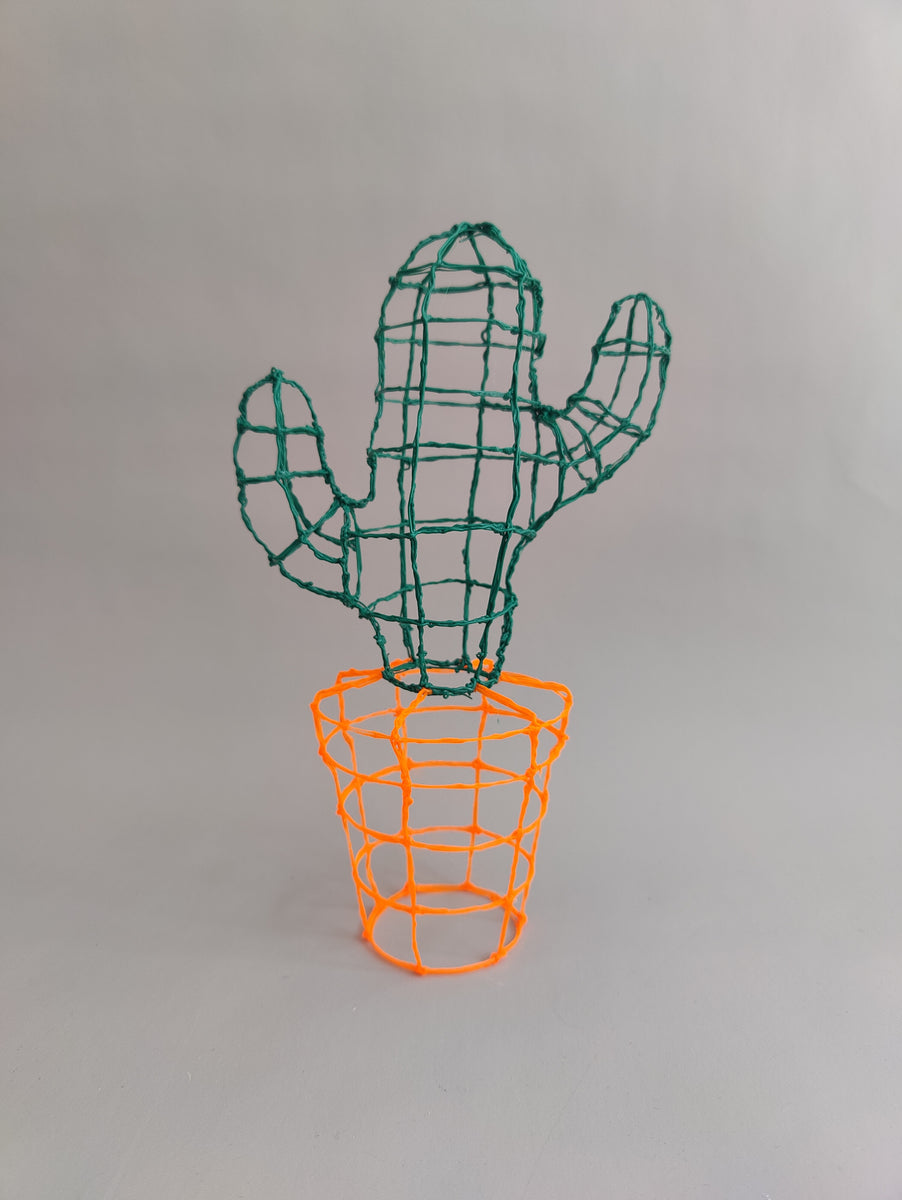 Cactus – Iris Lucia Design